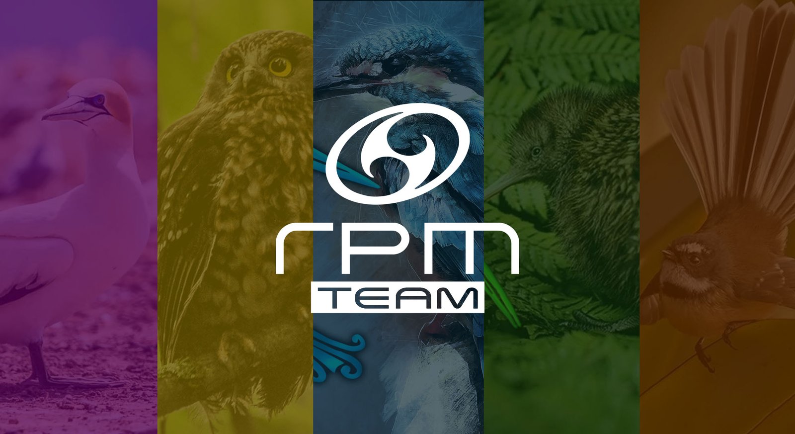 ryan p ristow | RPM Discs